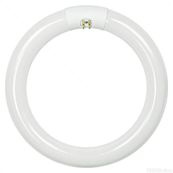 Light Bulbs – J and C Lighting San Diego